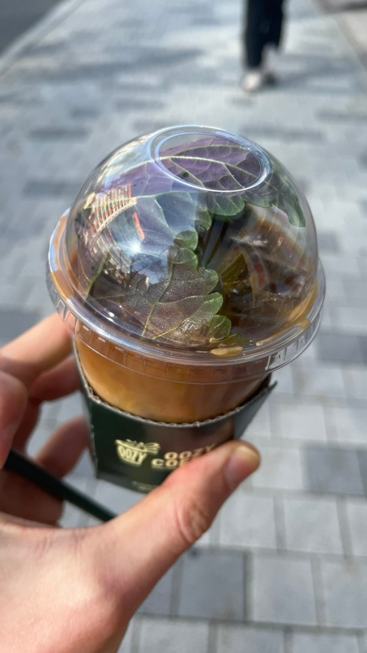 우지커피 깻잎.... 커피? : 네이버 블로그