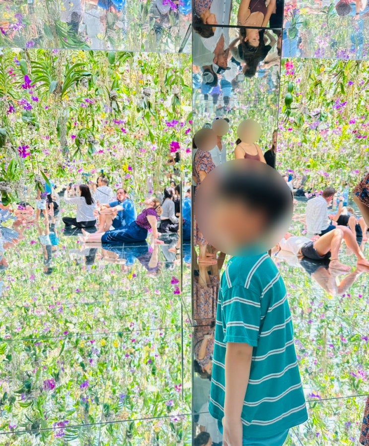 도쿄 오다이바 아이랑 가볼만한곳, 실내에서 놀기 좋은 top5 (가격정보) : 네이버 블로그