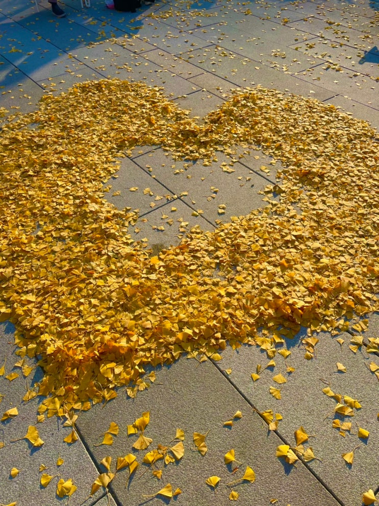 26.8 : 네이버 블로그