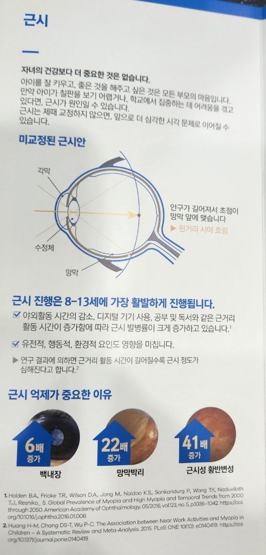 근시는 무엇인가요? 근시가 눈에 미치는 영향은? : 네이버 블로그