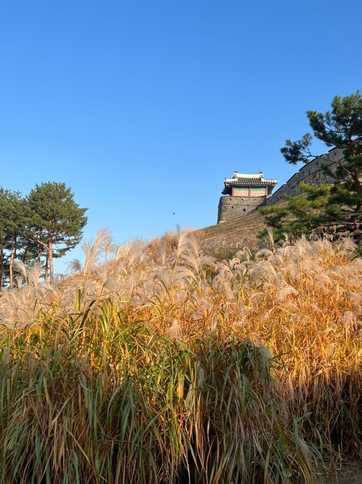 연차 쓰고 수원 가자 : 네이버 블로그