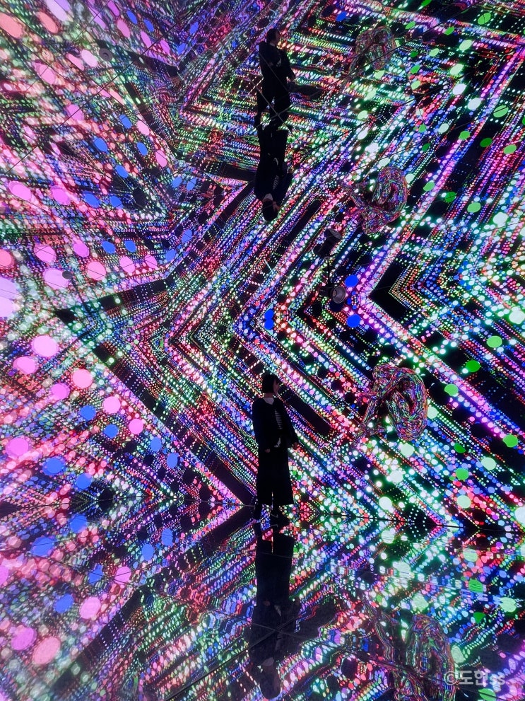 뮤지엄원 부산 전시회 《다시, 낭만의 시대》 미디어아트 전시 추천 관람 리뷰 : 네이버 블로그