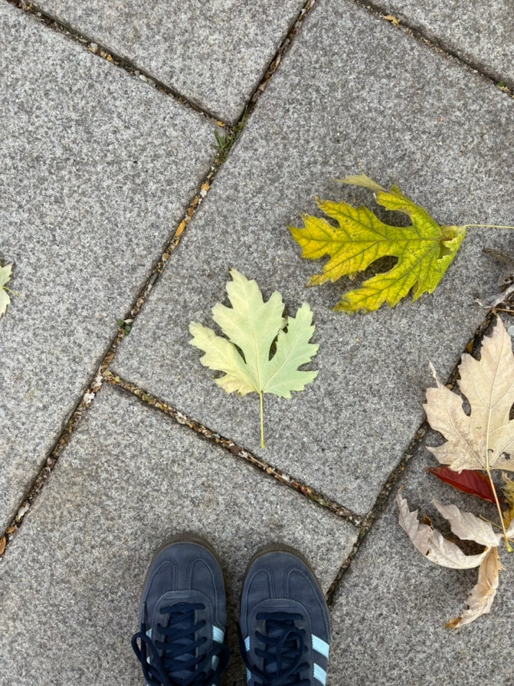 첫걸음 : 네이버 블로그