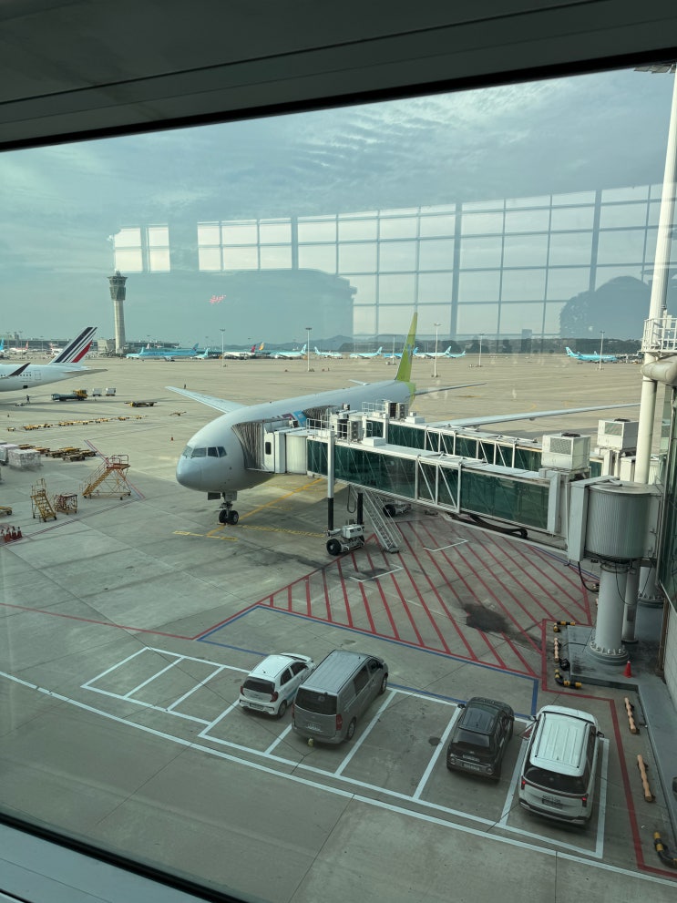 [훗카이도 6박7일 자유여행] Day1(250713):: 진에어 인천 → 삿포로 탑승 후기 : 네이버 블로그