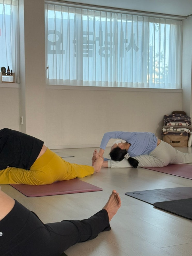 [서당골요가]월동준비 그리고 트리만들기 : 네이버 블로그