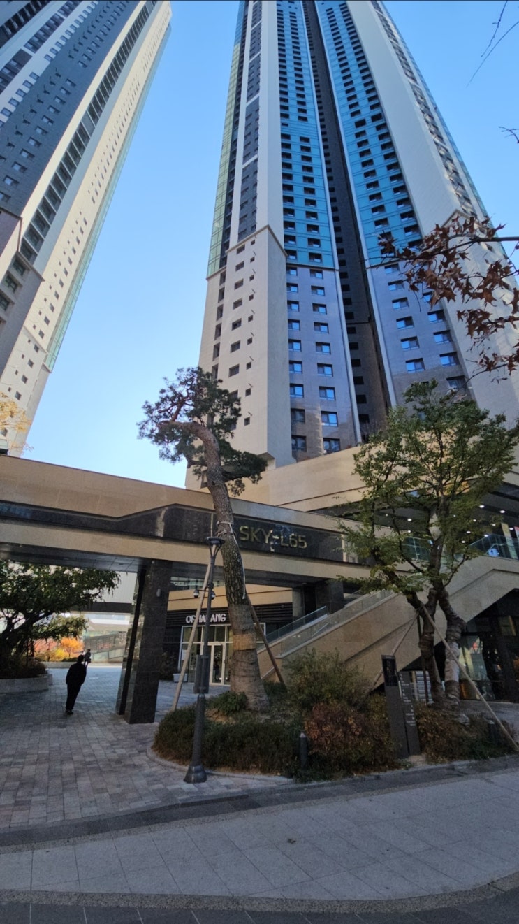 시세차익 10억 예상 청량리역 롯데캐슬SKY-L65 청약신청, 나도 가능할까? : 네이버 블로그