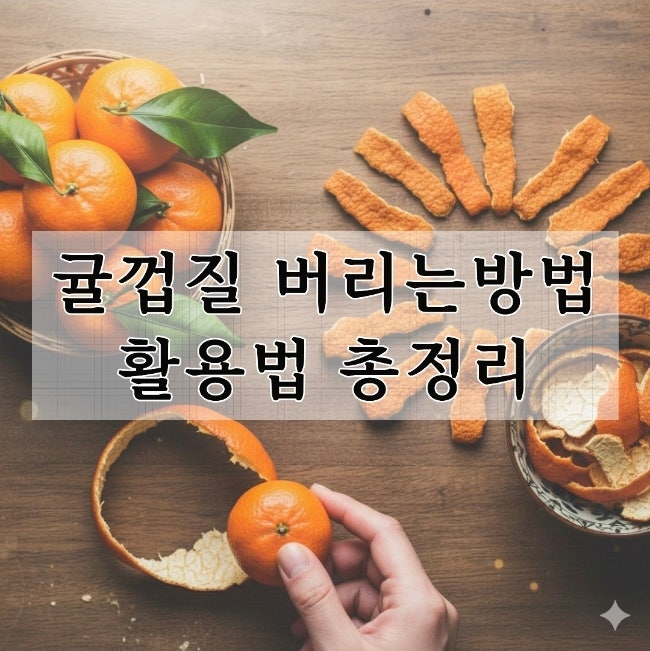 귤 껍질 버리는법 + 활용법 한방에 정리 : 네이버 블로그