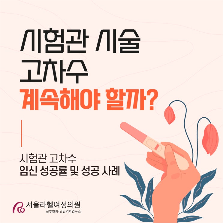 시험관 고차수, 계속해야 할까? 시험관 고차수 임신 성공률, 착상율, 임신 성공 사례 : 네이버 블로그