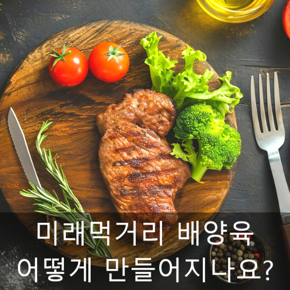 티젠바이오팜 배양육 미래먹거리 주목 생명과학 세특 주제 : 네이버 블로그