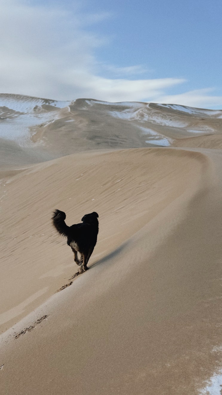 [10월 몽골여행 남고비 5박6일] day3 고비사막, 바양작 : 네이버 블로그