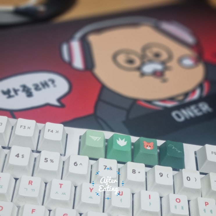 T1 키캡 키링 Animal Friends Keycap Keychain - 오너 ONER : 네이버 블로그