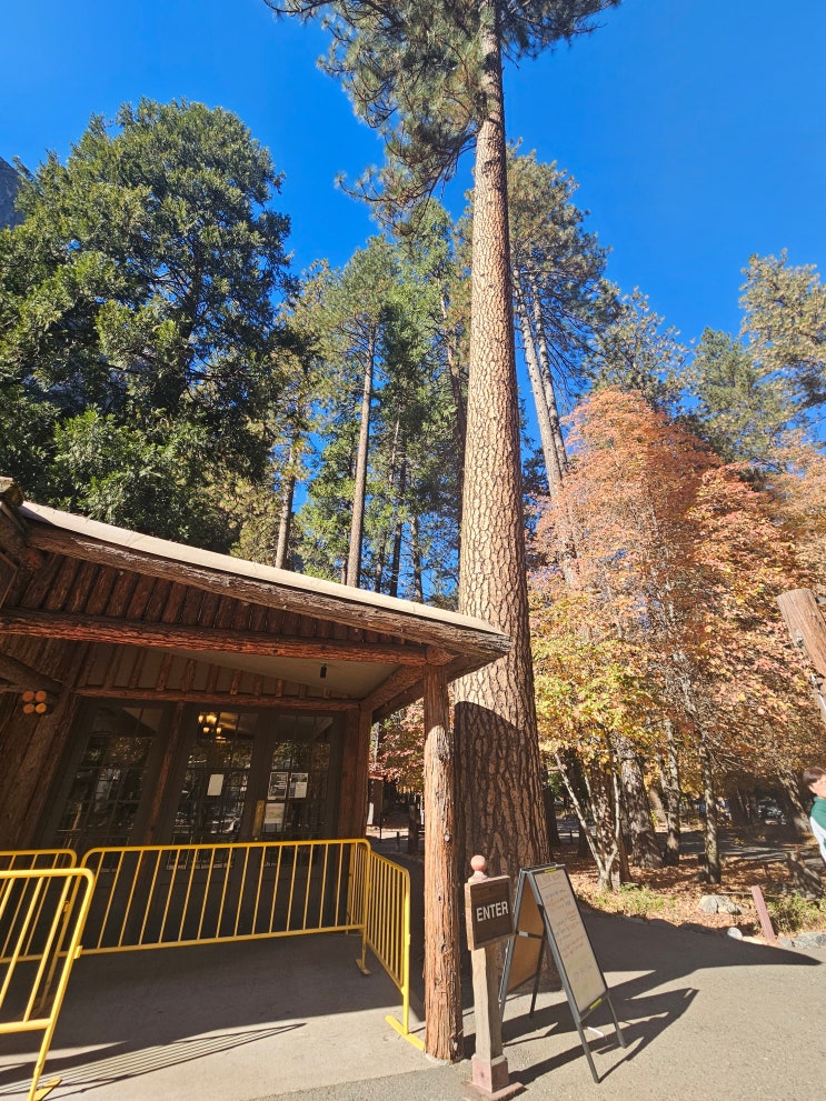 미국 요세미티 국립공원 #2, 땡스기빙, 종강, 샌프란시스코 리버모어아울렛 : 네이버 블로그