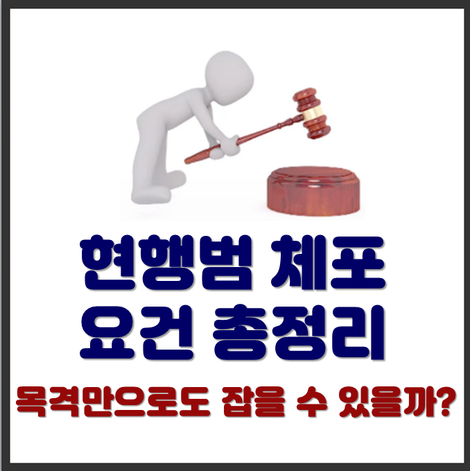 현행범 체포 요건 총정리 – 목격만으로도 잡을 수 있을까? : 네이버 블로그