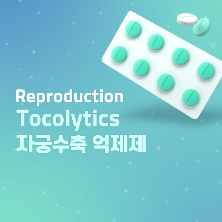 [RP] Tocolytics 자궁수축억제제 : Nifedipine · Indomethacin · Terbutaline : 네이버 블로그