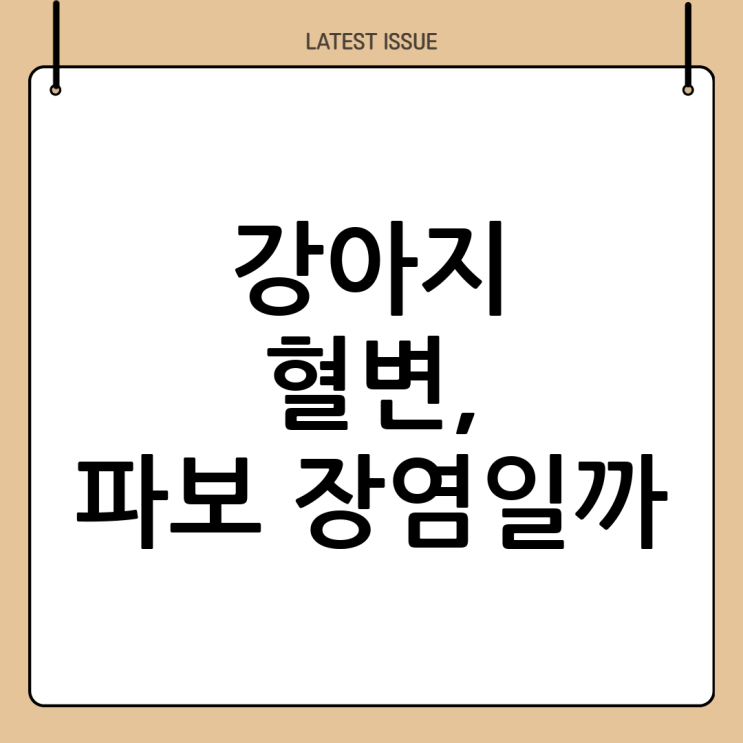 강아지 혈변의 원인과 대처법 (파보 장염 포함) : 네이버 블로그