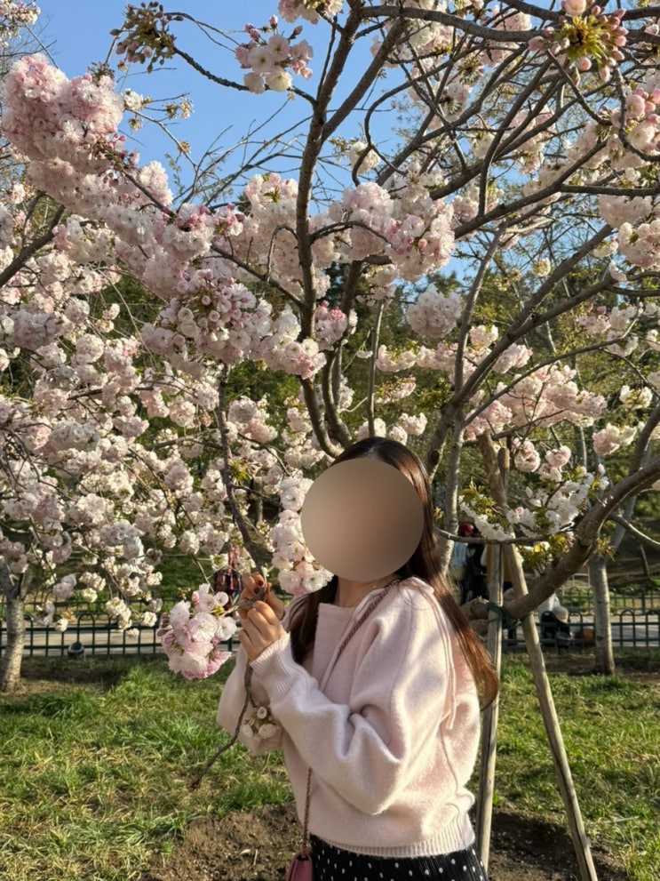 베이징 2박3일 day3 | 베이징 벚꽃 공원 옥연담공원, 마라새우훠궈, 사계민복 베이징덕, 마트 쇼핑 : 네이버 블로그