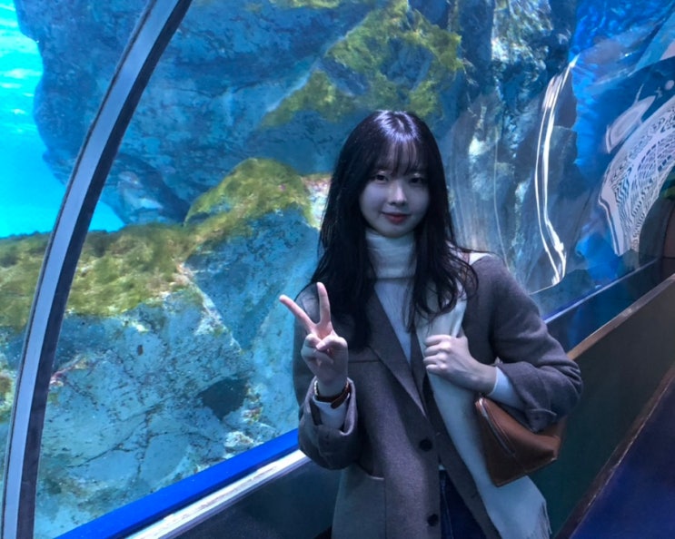 김일상 : 네이버 블로그