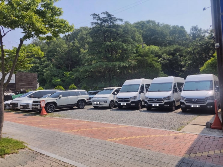 성주 고령 렌트카 카니발, 스타리아, 쏠라티 전문 : 네이버 블로그