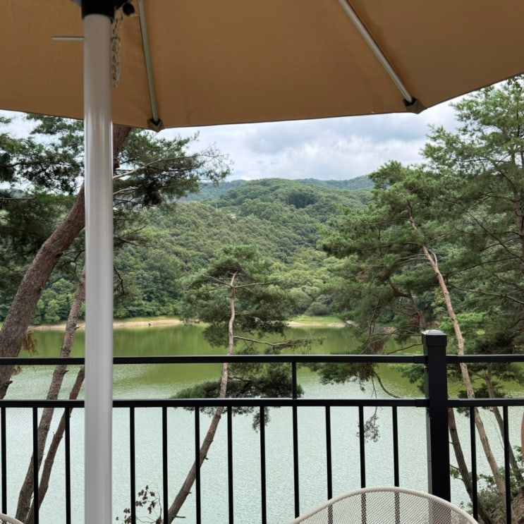 원주 대형 카페 추천 _ 카페 고래호수 (애견 동반 가능) : 네이버 블로그