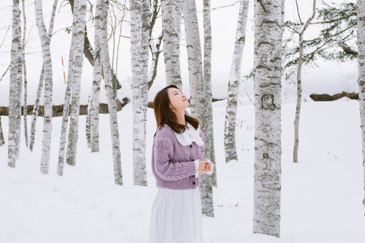홋카이도 여행, 삿포로 맛집 추천 수프 카레부터 에비소바까지 : 네이버 블로그