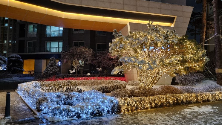 첫눈을 담아 보내는 편지 : 네이버 블로그