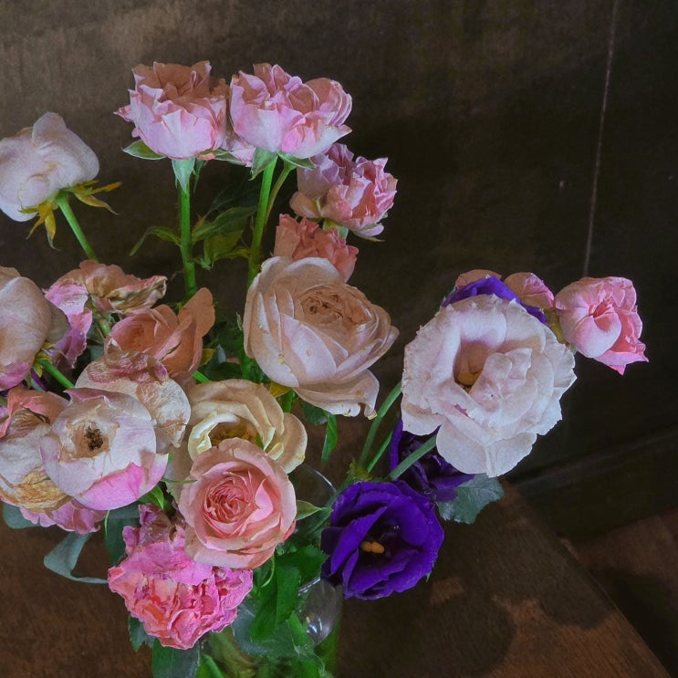 [일상 기록] 좋은 날엔 언제나 네가 있기에 : 네이버 블로그