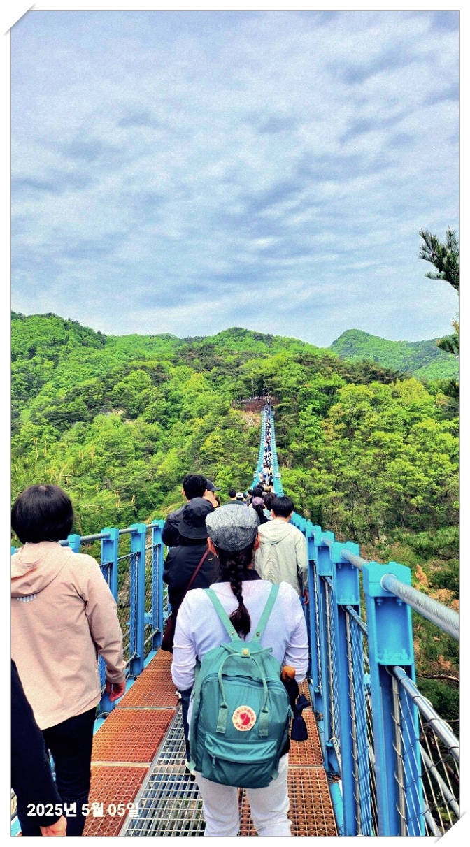 폴라로이드 필름 유통기한과 보관법 차이점 알아보기 : 네이버 블로그