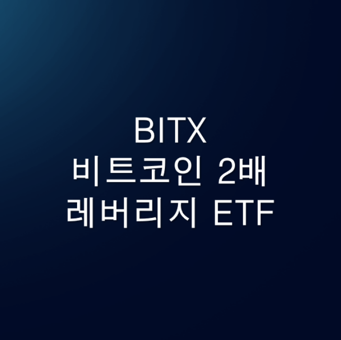 BITX(Volatility Shares 2x Bitcoin Strategy ETF) : 비트코인 2배 레버리지 ETF ...