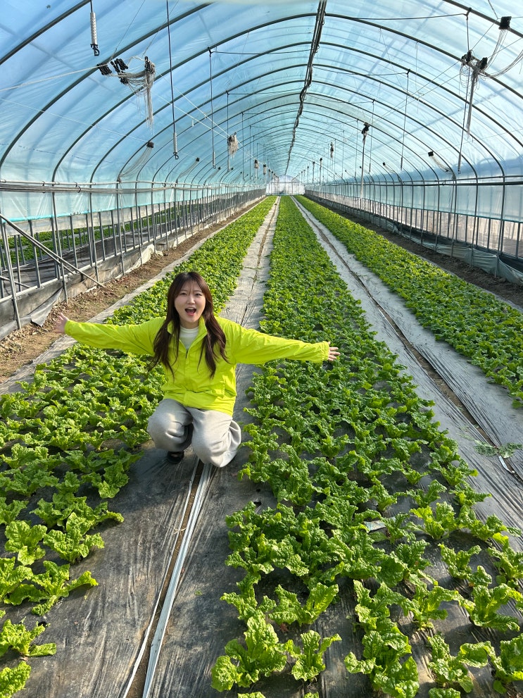 [3go 농활단: 거창편] Day 2. 농촌 일손 돕기 : 네이버 블로그