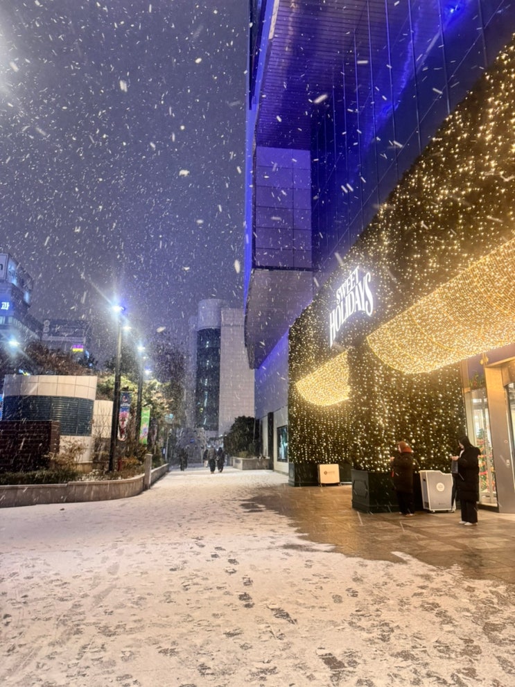 겨울밤- : 네이버 블로그