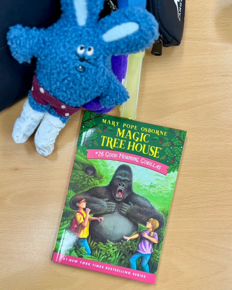 Magic Tree House 26권 ｜산악고릴라 생태·지능·서식지 완전 정리 : 네이버 블로그