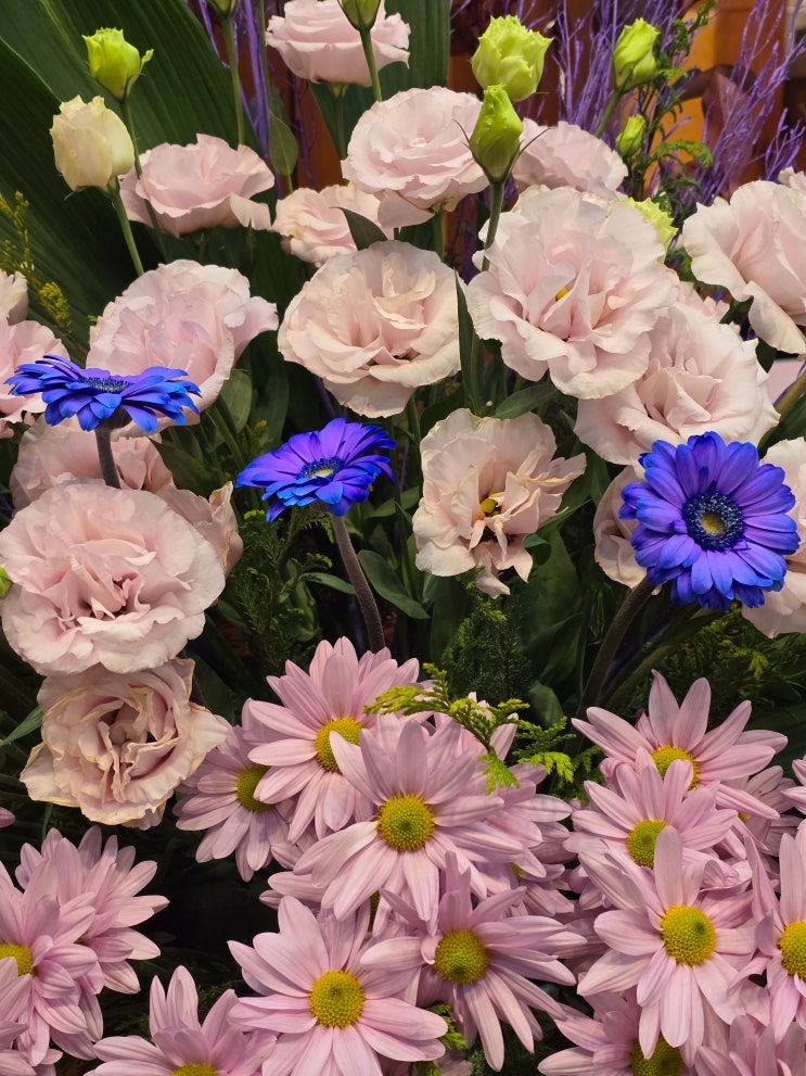 리시안셔스가 피어 있는 화원 : 네이버 블로그