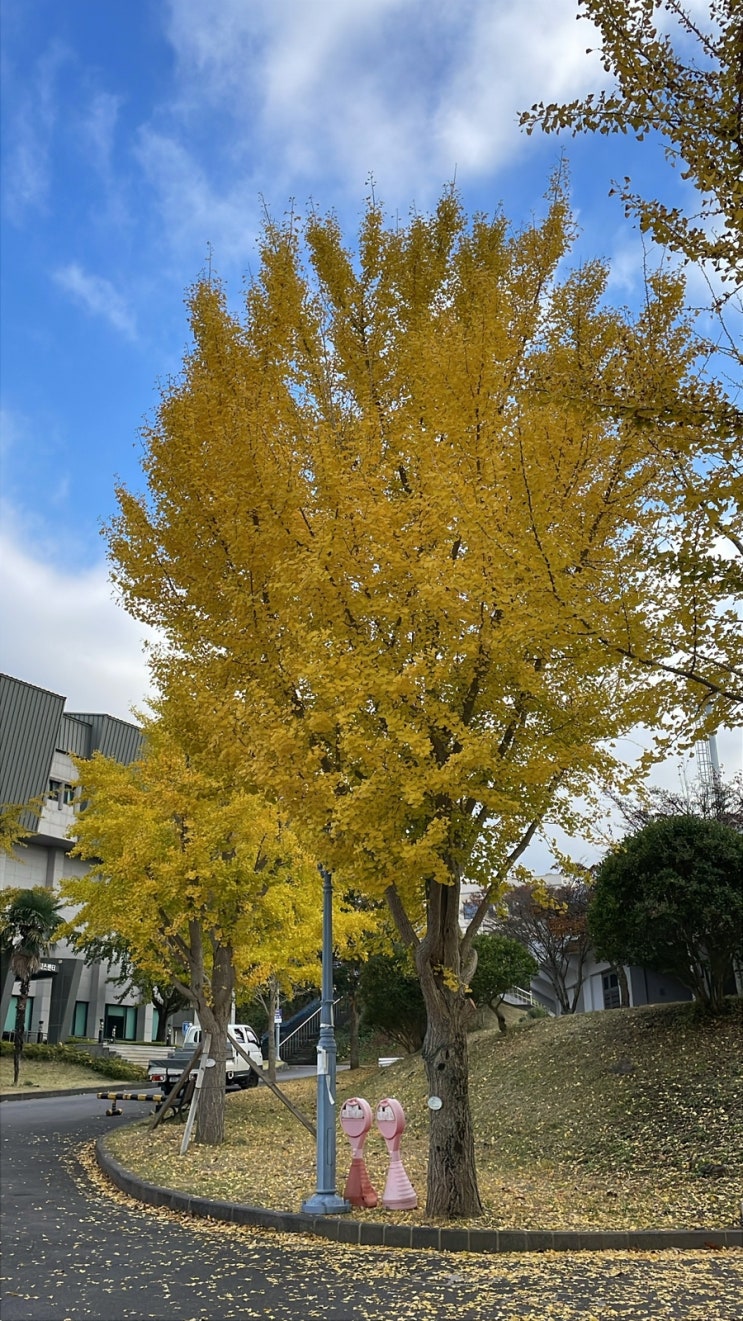 일상 : 네이버 블로그