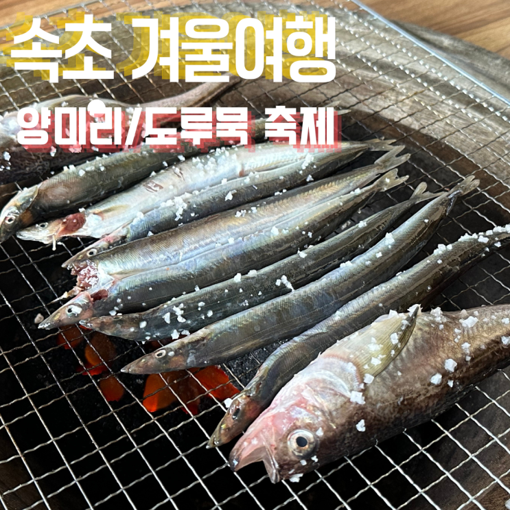 속초 겨울 가볼만한 곳 추천｜양미리·도루묵 축제 실제 방문 후기 : 네이버 블로그