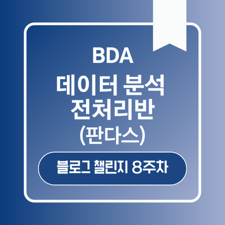 [BDA 11기] 데이터 분석 전처리반(판다스) 블로그 챌린지 8주차 : 네이버 블로그