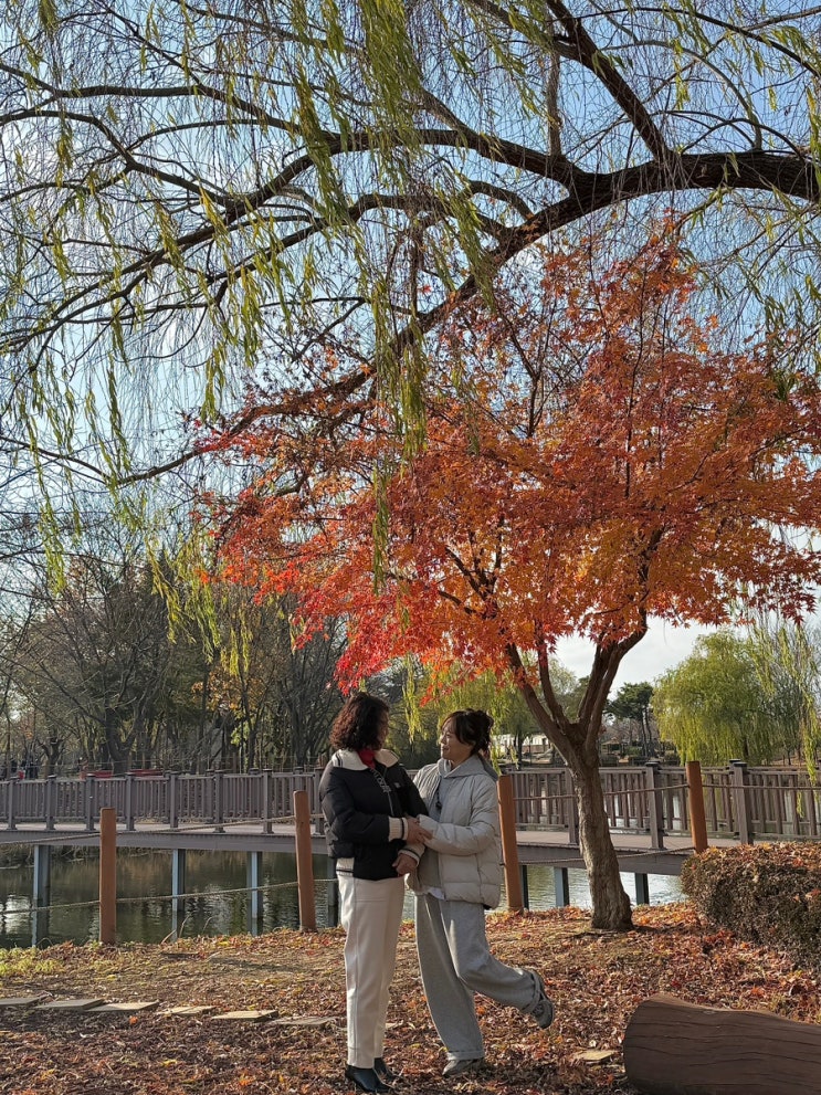 배부르게 안녕, 11월 : 네이버 블로그