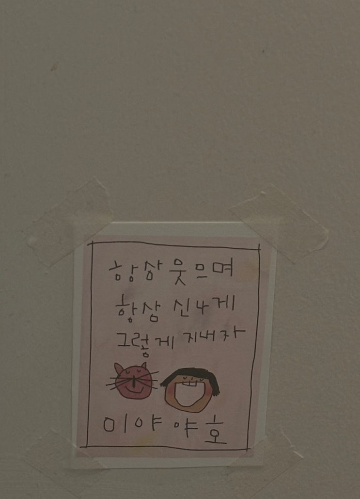 11월 : 네이버 블로그