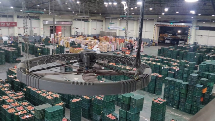 안동청과 다녀왔어요. : 네이버 블로그