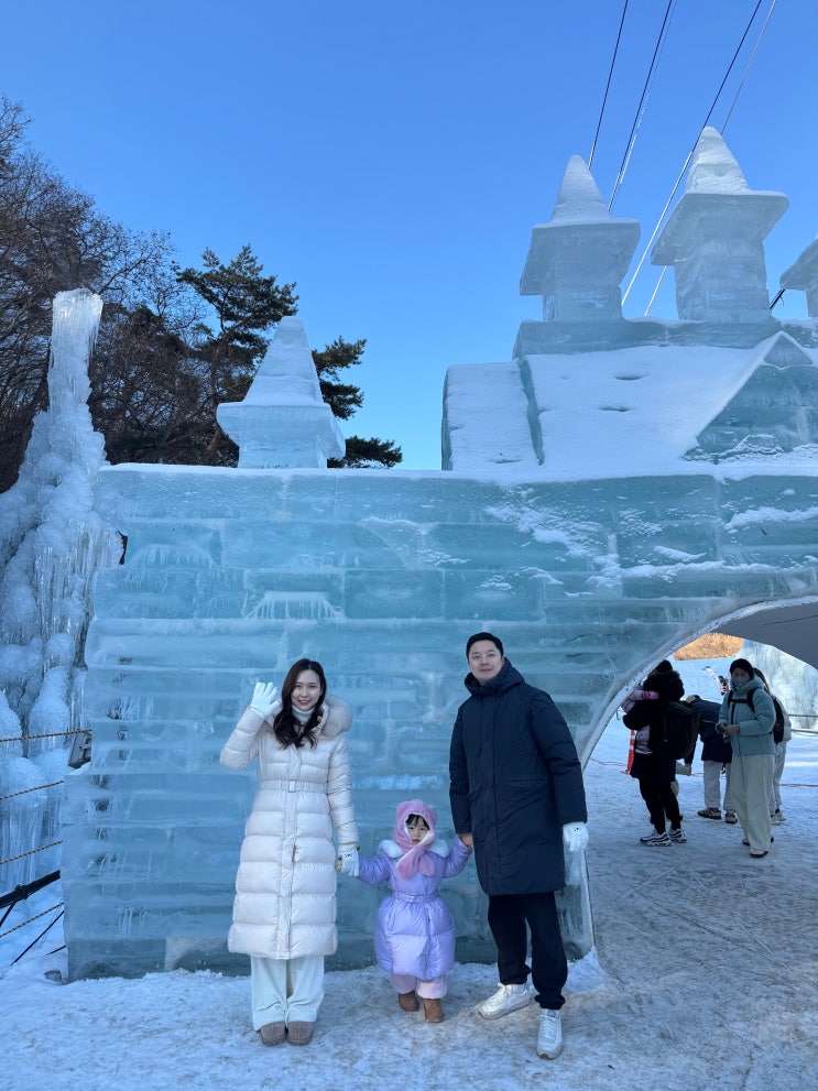 2025년 1월 ~ 3월 / 밀려쓰는일기1 : 네이버 블로그