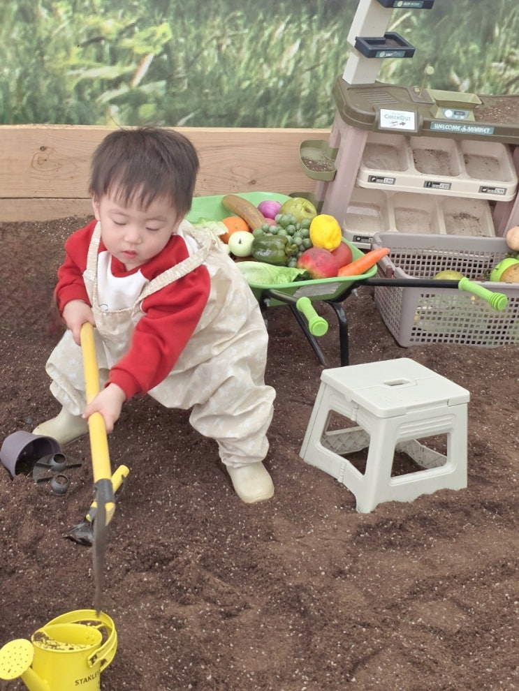 파릇파릇 일산 농장 체험 키즈카페 아기와 실내놀이터 : 네이버 블로그
