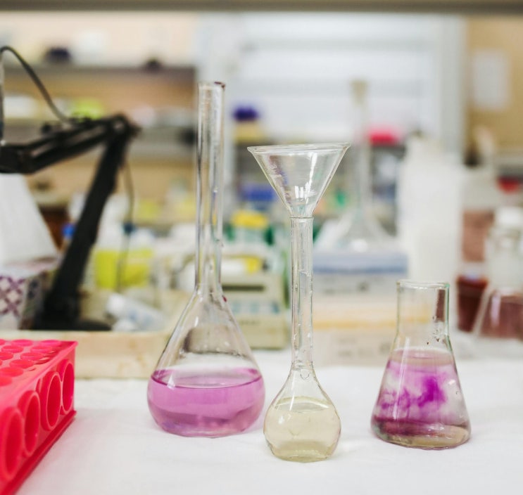 우리 아이는 통합과학 선행이 가능할까?(중등 과학 개념 기준) : 네이버 블로그