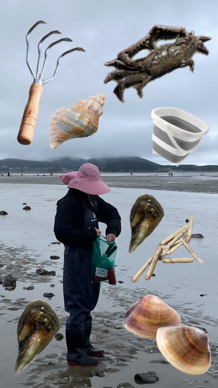 10월6일~ 10월8일 : (너무길어서 나누는 한주일상) 추석연휴/ 태안 갯벌체험 / 2년만의 걸스모임 in 해방촌 (내츄럴하이 ...