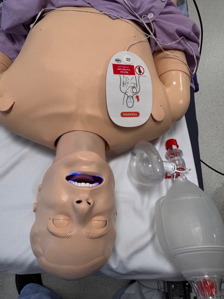 ALS (Advanced Life Support) training day 1 : 네이버 블로그