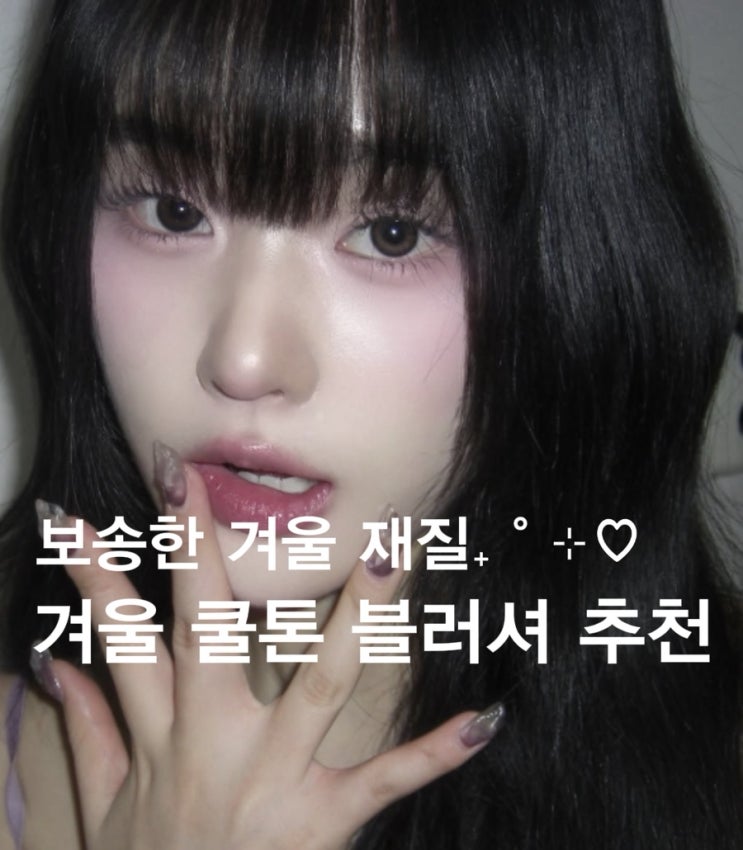 겨울에 쓰기 좋은⁺⊹˚ 보송한 쿨톤 블러셔 모음.ZIP : 네이버 블로그