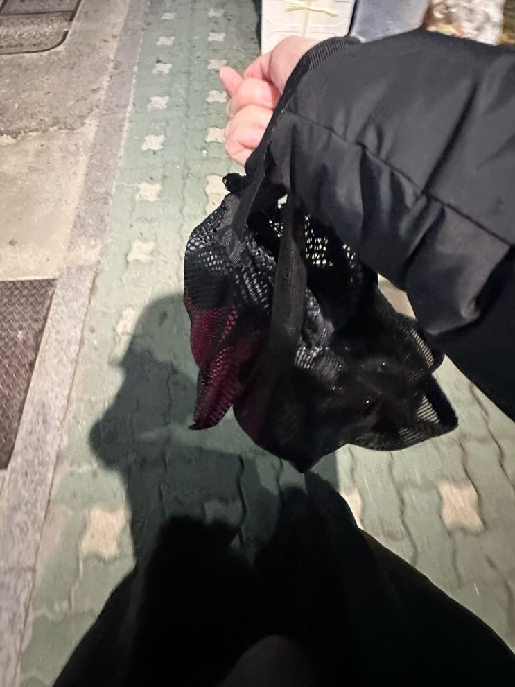 12월-1 : 네이버 블로그