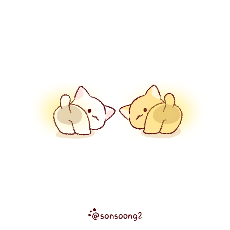 온기 받아가옹 🐾 : 네이버 블로그