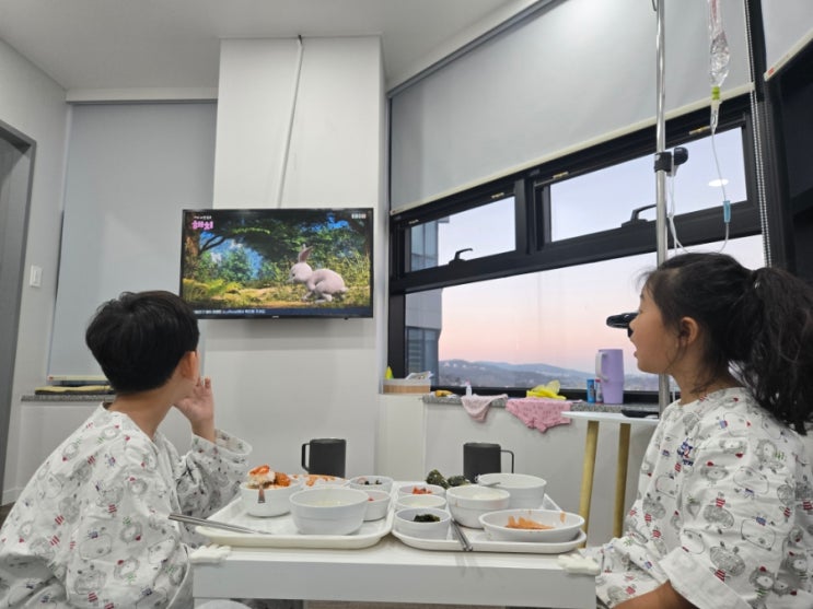 나의 비밀친구 해치 본방사수!! : 네이버 블로그