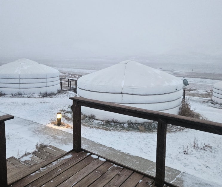 🇲🇳 몽골 모두투어 패키지 11월 겨울 여행 테를지 국립공원 숙소 1박2일 신식 게르 숙박 후기 석식 조식 : 네이버 블로그