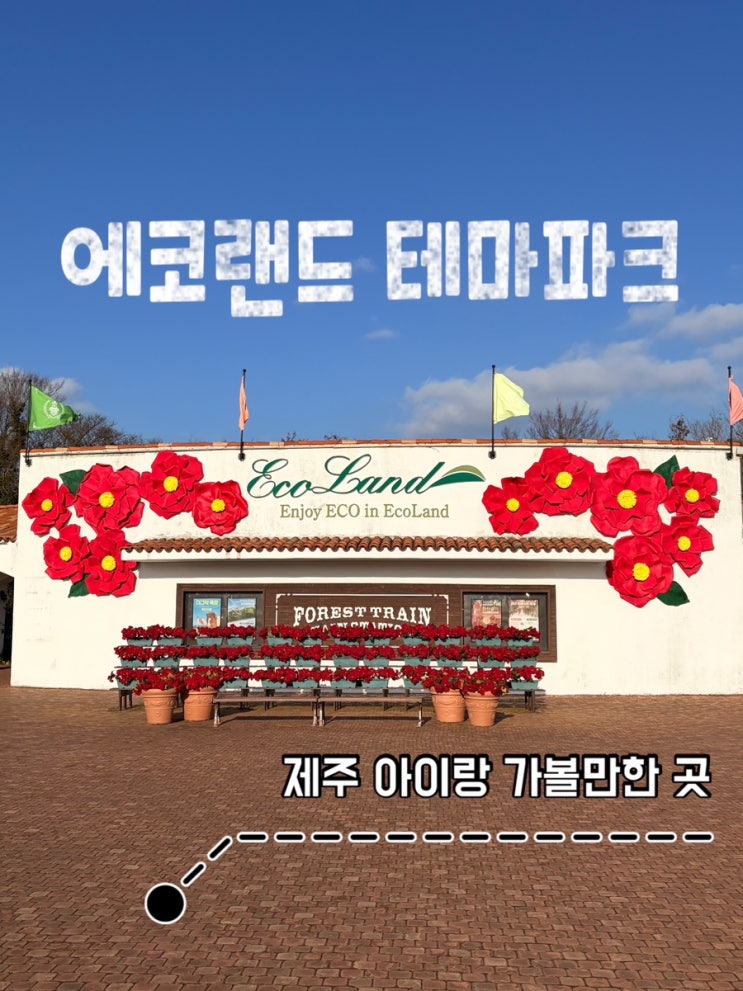 12월 겨울 제주여행 [에코랜드 테마파크] 제주 아이랑 가볼만한 곳 제주 동백꽃군락지 : 네이버 블로그