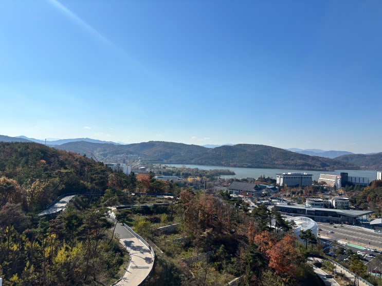 경주 여행코스 한눈에 정리 가족 커플 모두 즐기는 가볼만한곳 루지월드 추천 : 네이버 블로그